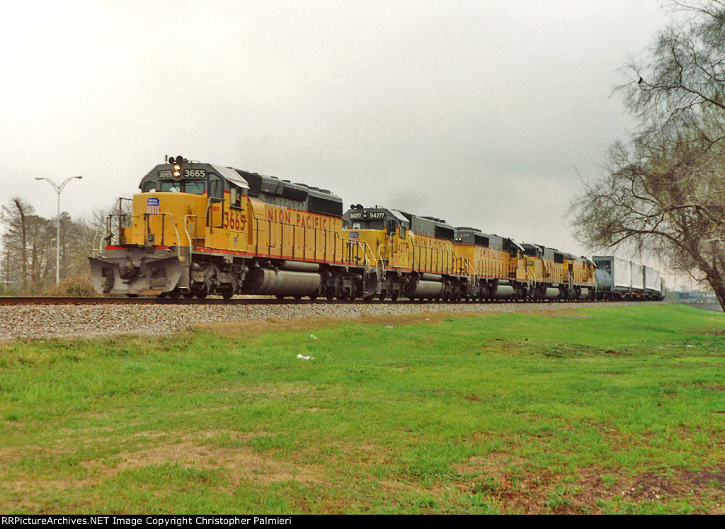 UP 3665 Leads NS No. 315